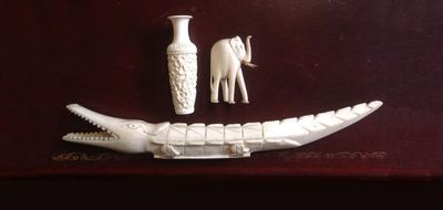 Five new species to be protected under Ivory Act extension | Propertymark